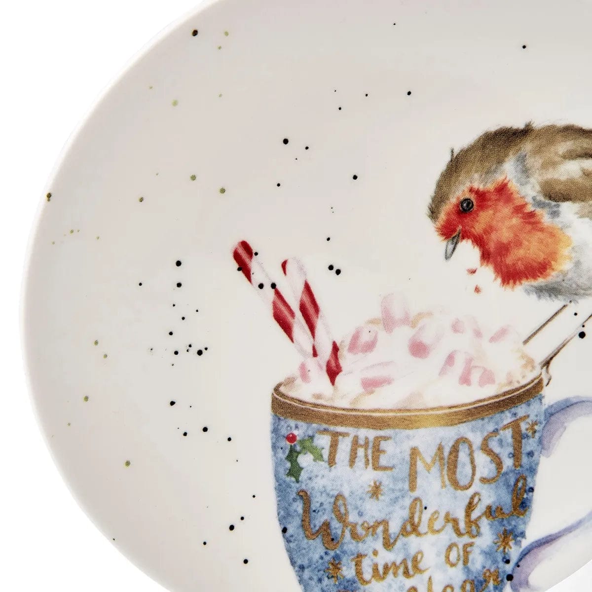 Royal Worcester Wrendale Designs Robin & Bunny Plate Set